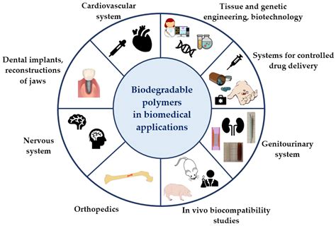 Ijms Free Full Text Biodegradable Polymers In Biomedical