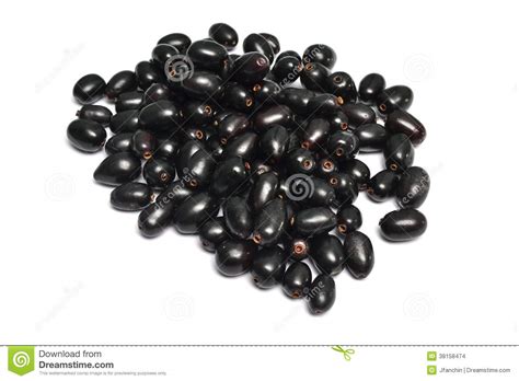 Jamun Clipart 20 Free Cliparts Download Images On Clipground 2024