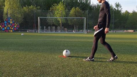 Balldetection Object Detection Model By Tezeract