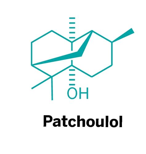 Fragrances 101 A Fortuitous Field Of Flavors And Fragrances