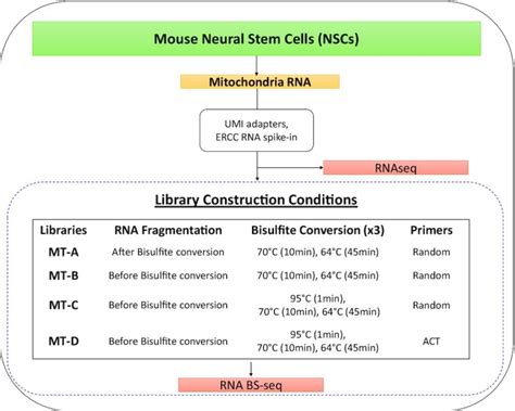 A Systematic Evaluation Of Parameters In Rna Bisulfite Sequencing Data Generation And Analysis