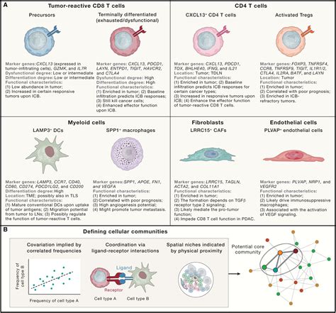 Accelerating The Understanding Of Cancer Biology Through The Lens Of