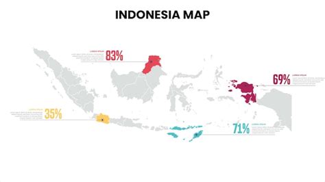 Moderno Mapa Da Indonésia Percentagem Template Infográfico Mapa