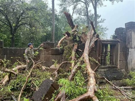 ខ្យល់កន្រ្តាក់ បោកបក់មកលើខេត្តសៀមរាប យ៉ាងខ្លាំង បណ្ដាលឱ្យដួលរលំដើមឈើ ខណៈអាជ្ញាធរកំពុងជួយដោះស្រាយ