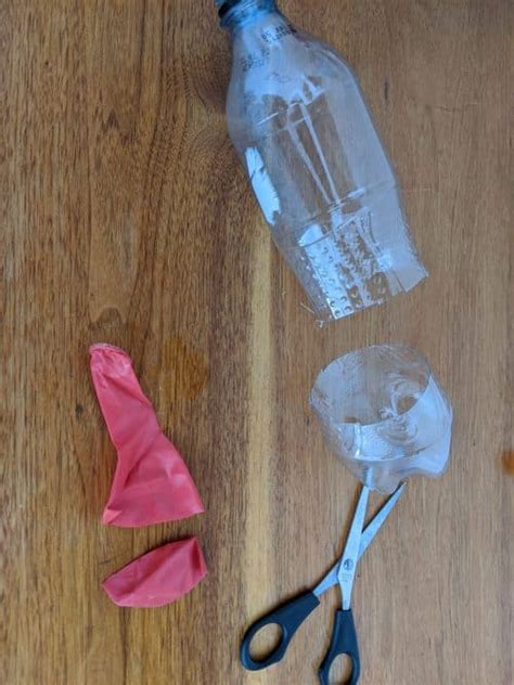Make A Lung Model Fizzics Education