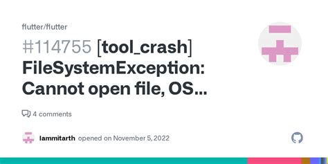 Toolcrash Filesystemexception Cannot Open File Os Error The
