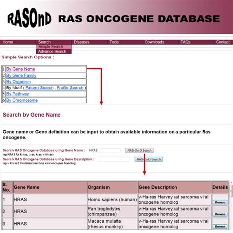 Screen Shots Of User Interface Simple Search Simple Search Query Download Scientific Diagram