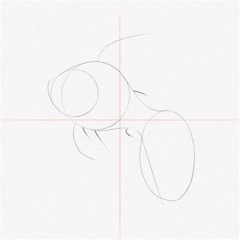 How To Draw A Fish A Step By Step Tutorial Artlex