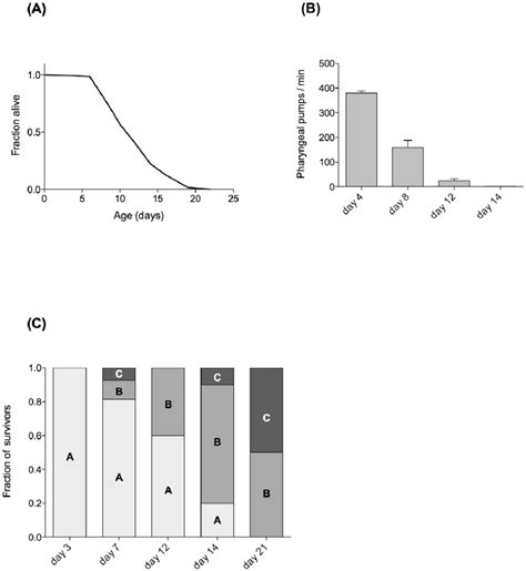 Age Dependent Survival And Functional Decline In A Typical Jk1107