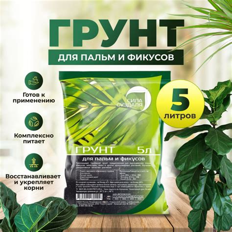 Грунт для пальм и фикусов 5 л купить по низкой цене в интернет