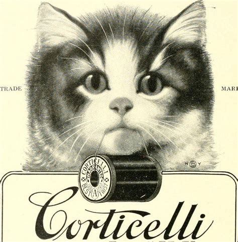 Hysterical Pun Names Perfect For Your New Cat Catlov