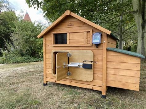 Top Benefits Of Having Automatic Chicken Coop Doors Handyman Tips