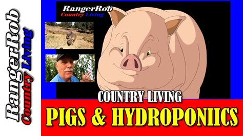 Transform Your Harvest With Idaho Pasture Pigs And Hydroponic Tomatoes
