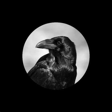 心如止水 Youtube Music