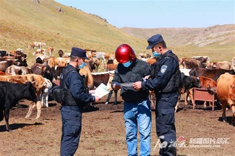 牧民秋季转场 “护牧分队”保驾护航 天山网 新疆新闻门户