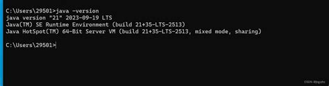 Java21安装教程自动化配置与环境设置 CSDN博客
