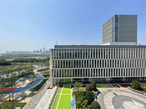 国际学校数据库