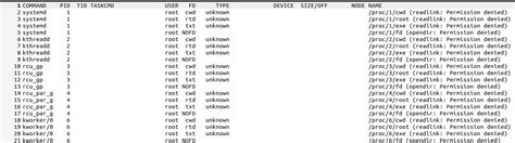 Örneklerle Linuxta Lsof Komutu Nasıl Kullanılır Linux Data Linux