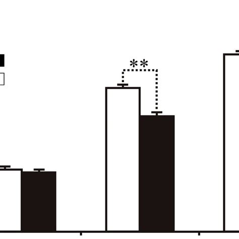 Cell Proliferation Cell Proliferation Was Measured Using The Wst 8