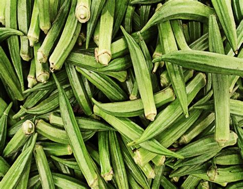 An Ambitious Genome Sequencing Project Is Tackling Africas Nutrition
