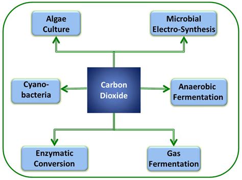 Advantages Of Martens Schematic View Wiring Diagram
