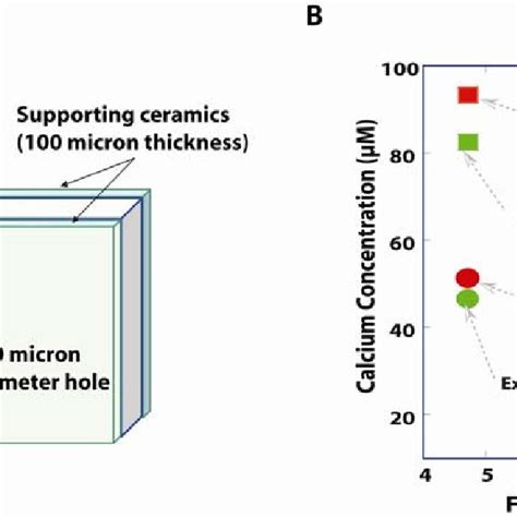 A Schematic Representation Of The Microfluidic Reactive Flow