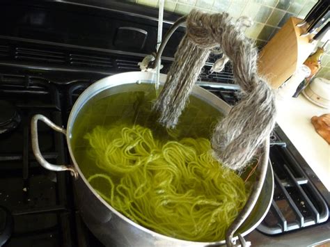 Wool Tribulations Of Hand Spinning And Herbal Dyeing Overdyeing With