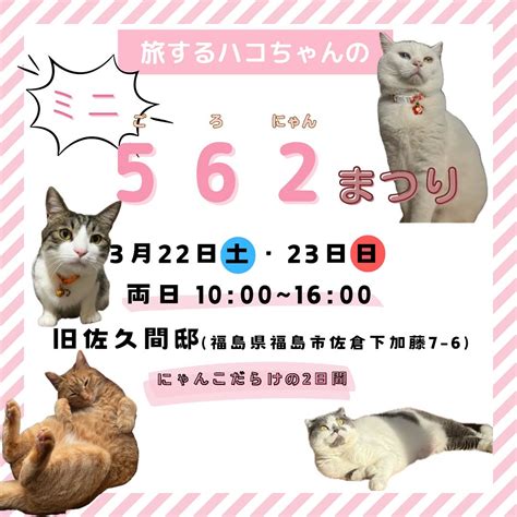 562（ごろにゃん）祭り 🌸『旅するハコちゃんのミニ562まつり』紙チラシver🐈⸒⸒⸒⸒ 年間ニャンバサダーのみニャ様にお手伝い頂き