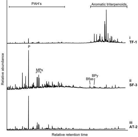 Gcms Total Ion Chromatograms Of Aromatic Fractions Of Idiplazites
