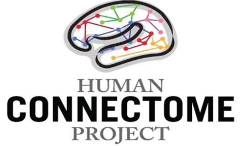 human connectome project hcp چیست؟ آکادمی آنلاین مهندسی پزشکی و هوش