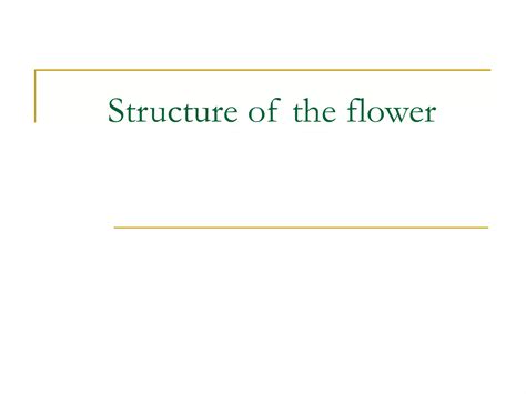 Sexual Reproduction In Plants Ppt