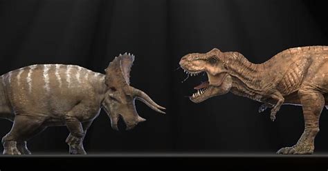 Triceratops Vs T Rex Album On Imgur
