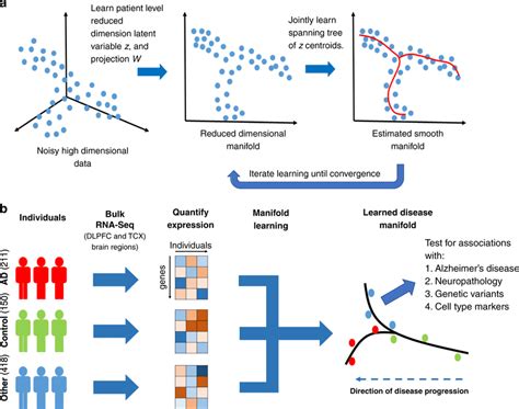 What Is A Manifold Machine Learning At Mickey Munos Blog