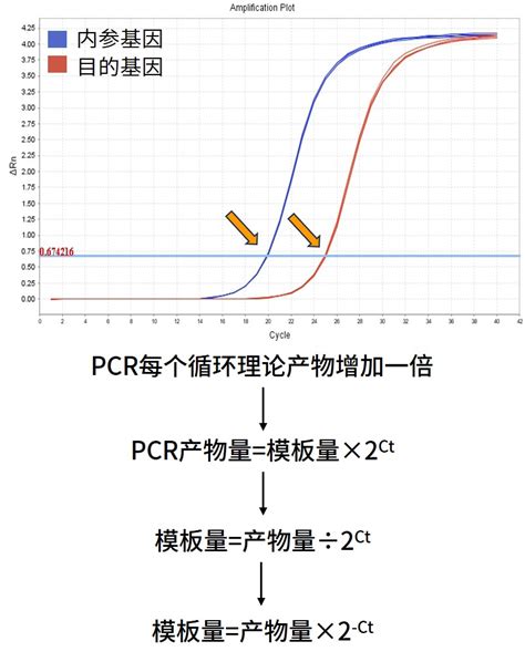 涨知识｜qpcr专场五：如何分析荧光定量数据？