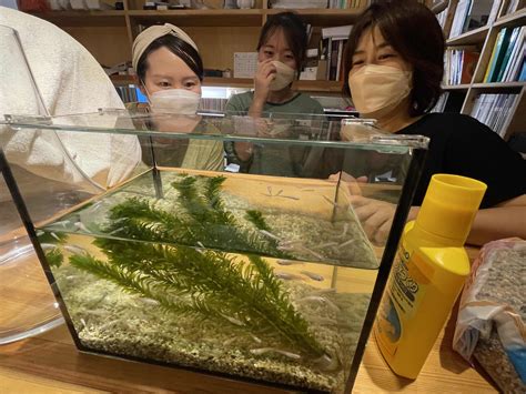 事務所の生き物 楽しい設計と家づくりの日々～sekios Blog