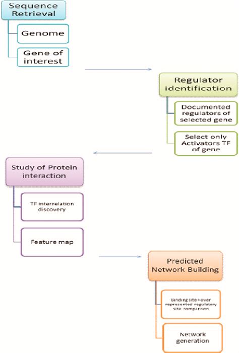 A Layout Of Framework Of Stepwise Methodology Carried Out Here Is
