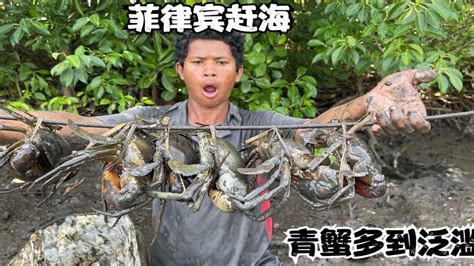 国外菲律宾赶海，来当地红树林泥滩抓青蟹，个头超过两斤多太爽了 Youtube