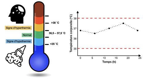 6 Lhoméostasie Et Lacclimatation Écophysiologie évolutive