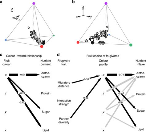 Colourreward Relationships Mediate Fruit Choice By Frugivorous Birds Download Scientific