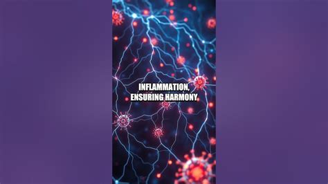 Immune System Superpowers The Neural Immunomodulators Youtube