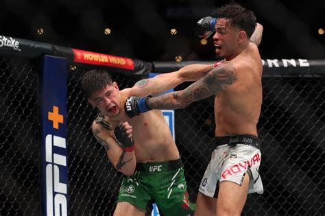 Mexican Fan Crowd Knockout In Ufc Event