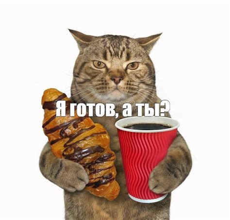 Мем Я готов а ты Все шаблоны Meme