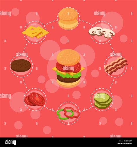 Vector Isometric Burger Ingredients Infographic Concept Illustration