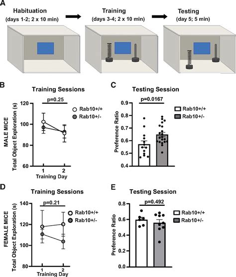 Behavioral And Transcriptome Profiling Of Heterozygous Rab10 Knock Out