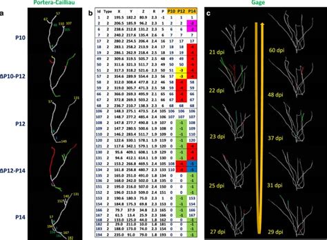 Design And Implementation Of Multi Signal And Time Varying Neural Reconstructions Scientific Data