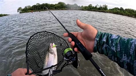 ჭოროხის მონსტრ აგულები Favorite X1 New Youtube