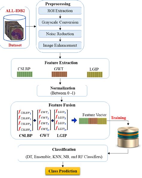 Workflow Of Proposed System Download Scientific Diagram