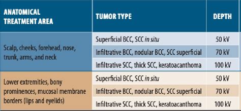 sensus srt 100 energy for different bcc scc pdf