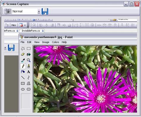 Screencapture Utility Codeproject