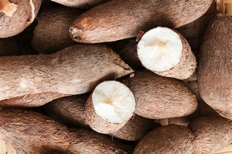 Top Cassava Producers In Africa Africa View Facts